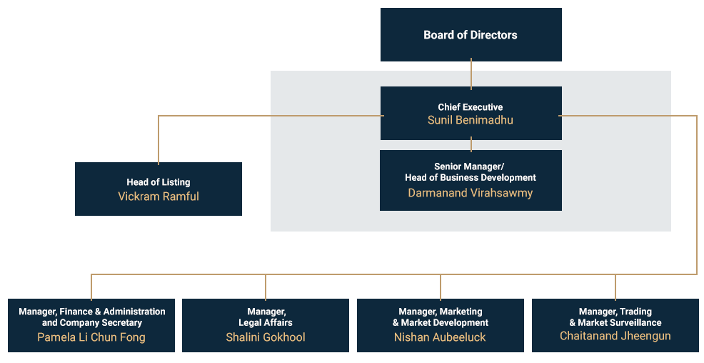 SEM Group Structure – Stock Exchange of Mauritius